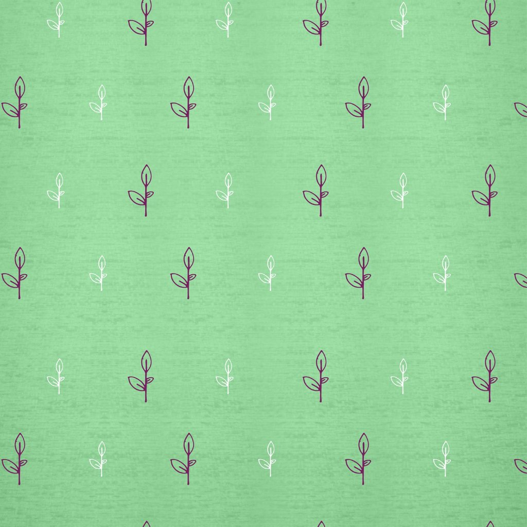 CR005 – iDecorwala.com