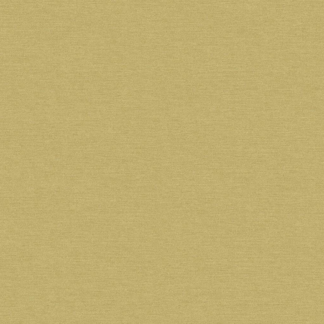 Gini Cocoon – iDecorwala.com