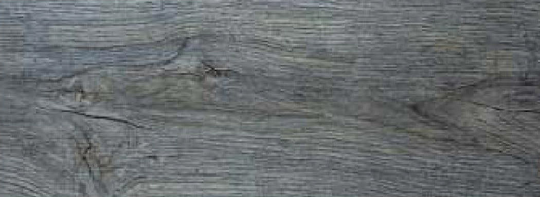 Conifer Plus – iDecorwala.com