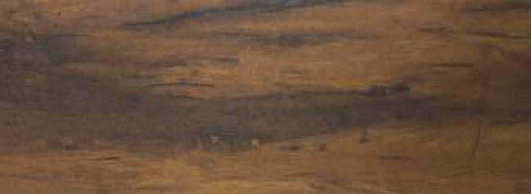 Conifer Plus – iDecorwala.com